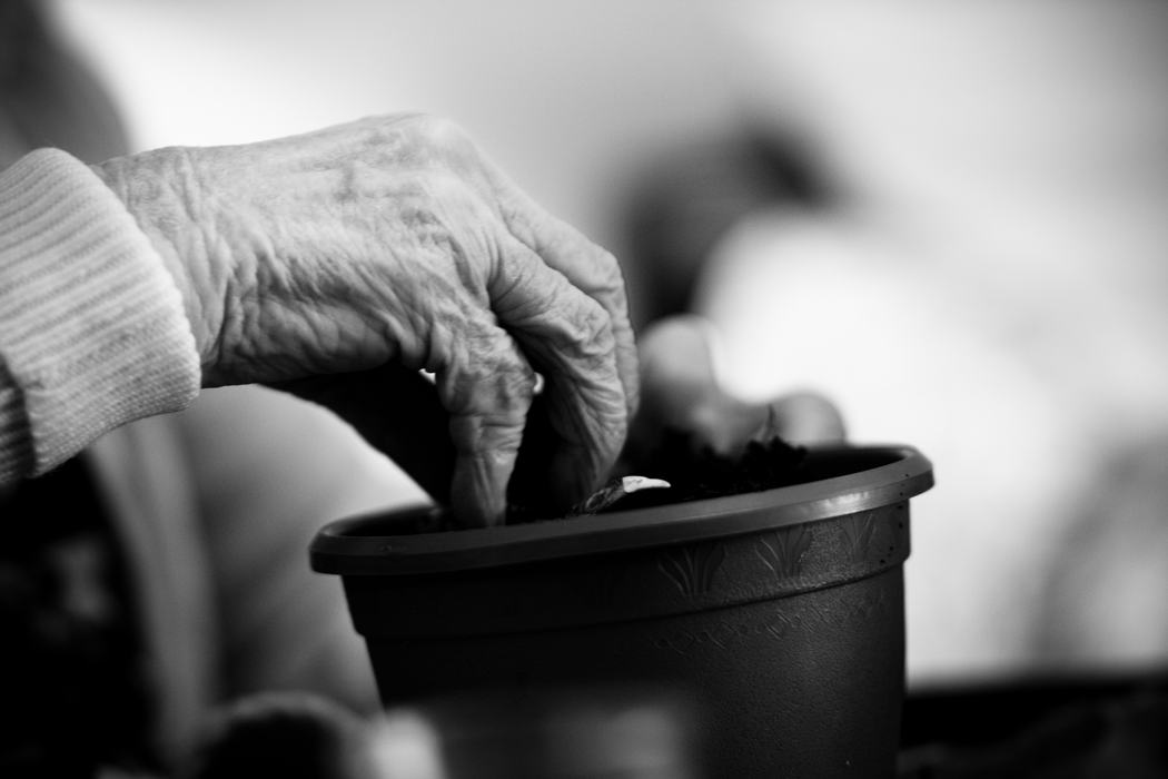 Gardening Can Prolong Life as Much as 30% in 60-Plus Age Group ...