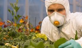 Why People Oppose GMOs Even Though Science Says They Are Safe - Ag ...