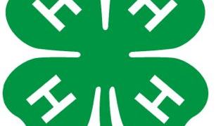 NC 4-H Congress 2023 - Burke County Center | N.C. Cooperative Extension