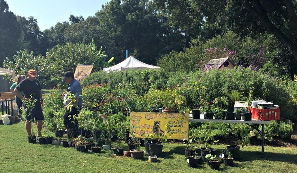 Cape Fear Native Plant Festival 2025 - New Hanover County Center | N.C ...