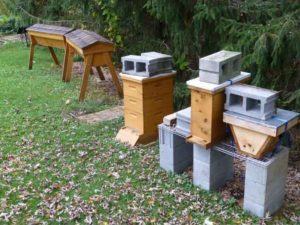 Protect Your Honeybees During Mosquito Sprays After Hurricane Florence ...