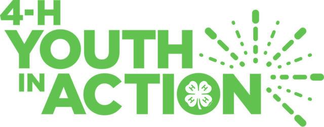 2020 Youth in Action Applications Now Open - Poultry 4-H & Youth | NC ...