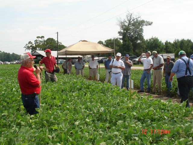 Early Soybeans Can Work in North Carolina - Integrated Pest Management ...
