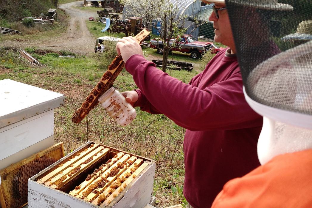 Horsehair Worms, Varroa Mites and More... - Caldwell County Center | N ...