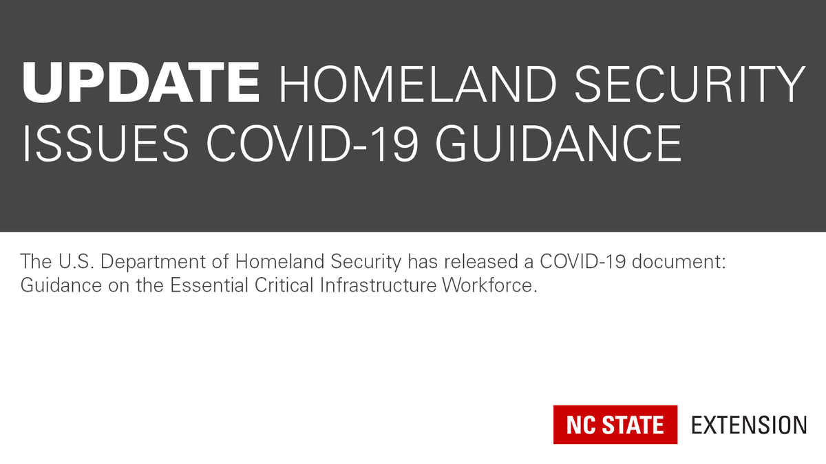 Department of Homeland Security Releases Memorandum on Identification ...