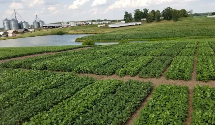 Optimizing Soybean Planting Date and Maturity Group in NC - Soybeans ...