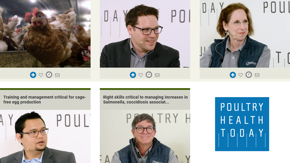 Cage-Free Production Special Report From Poultry Health Today ...