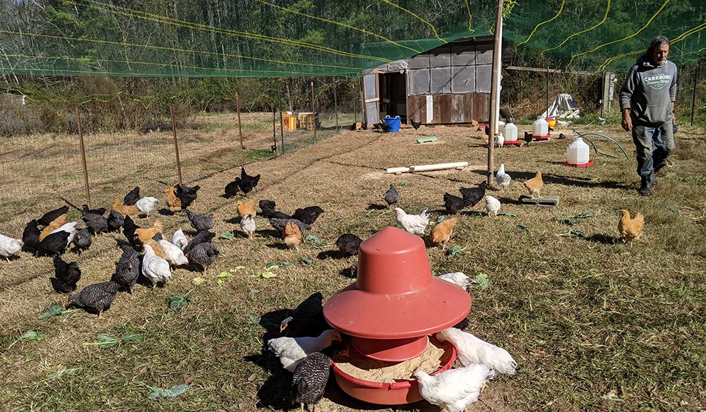 Farm Visit Snapshots: Perry-Winkle Farm - Growing Small Farms