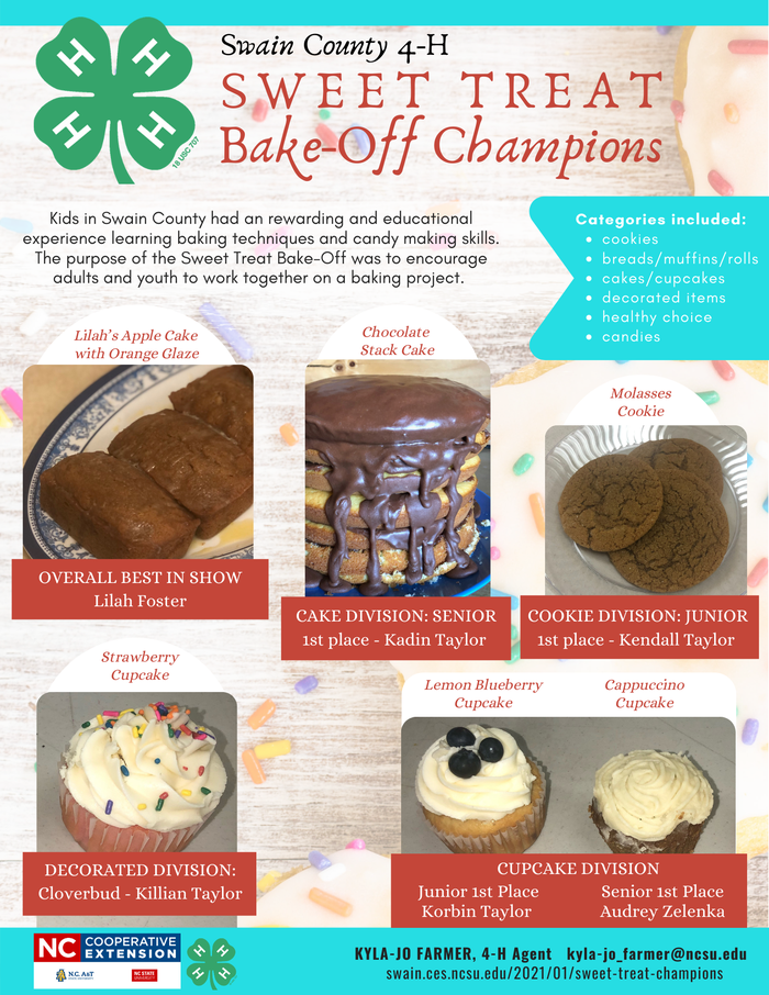 Swain County 4-H Sweet Treat Bake-Off Champions - Swain County Center ...