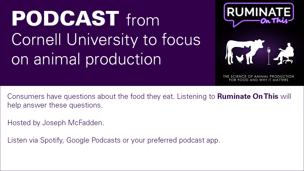 Cornell Launching New Podcast on Animal Production - Prestage ...