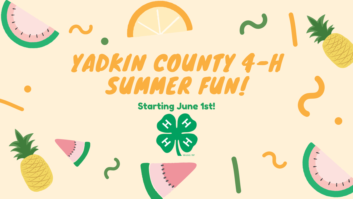 Yadkin County 4-H Summer Fun 2021 - Yadkin County Center