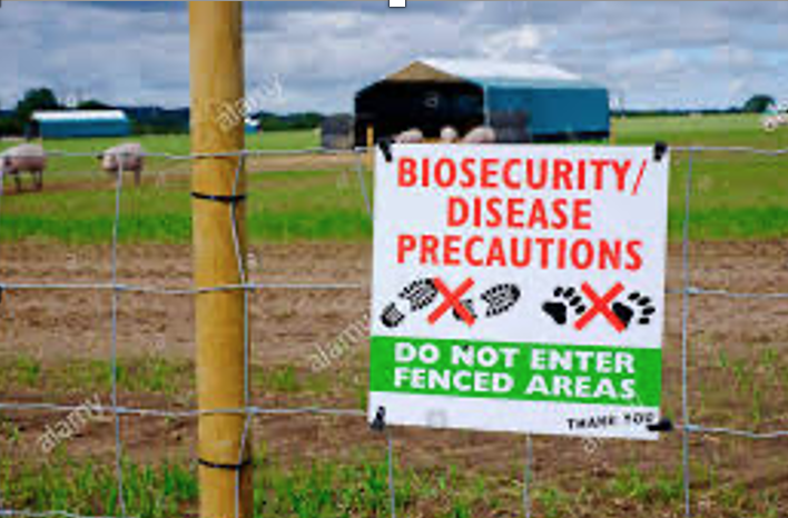 Biosecurity: Steps to Keeping Your Livestock Healthy - Sampson County ...