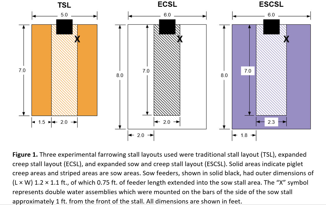Effect of Stall Size, Number of Heat Lamps During Farrowing: Part 1 ...