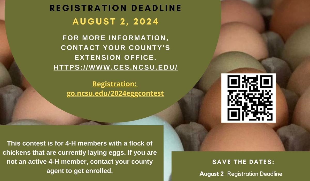 Egg-Cellent Egg Contest for 4-H'ers - Rowan County Center | N.C ...