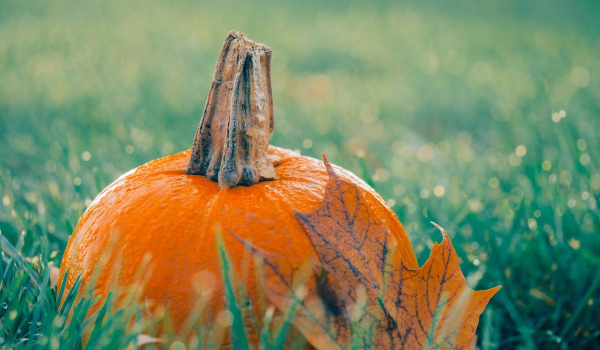October 2021 FCS News - Franklin County Center