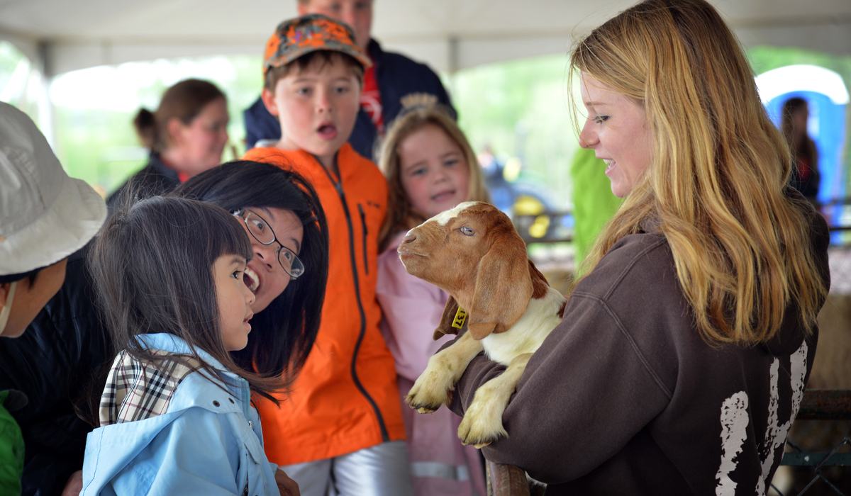 No Kidding - Udderly Great Dairy Goat Workshop Is Coming - Durham ...