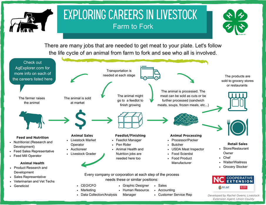 Careers in the Livestock Industry - Union County Center | N.C ...