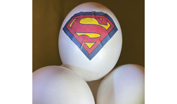 Embryology - Super Power Egg Design Activity - Poultry 4-H & Youth | NC ...