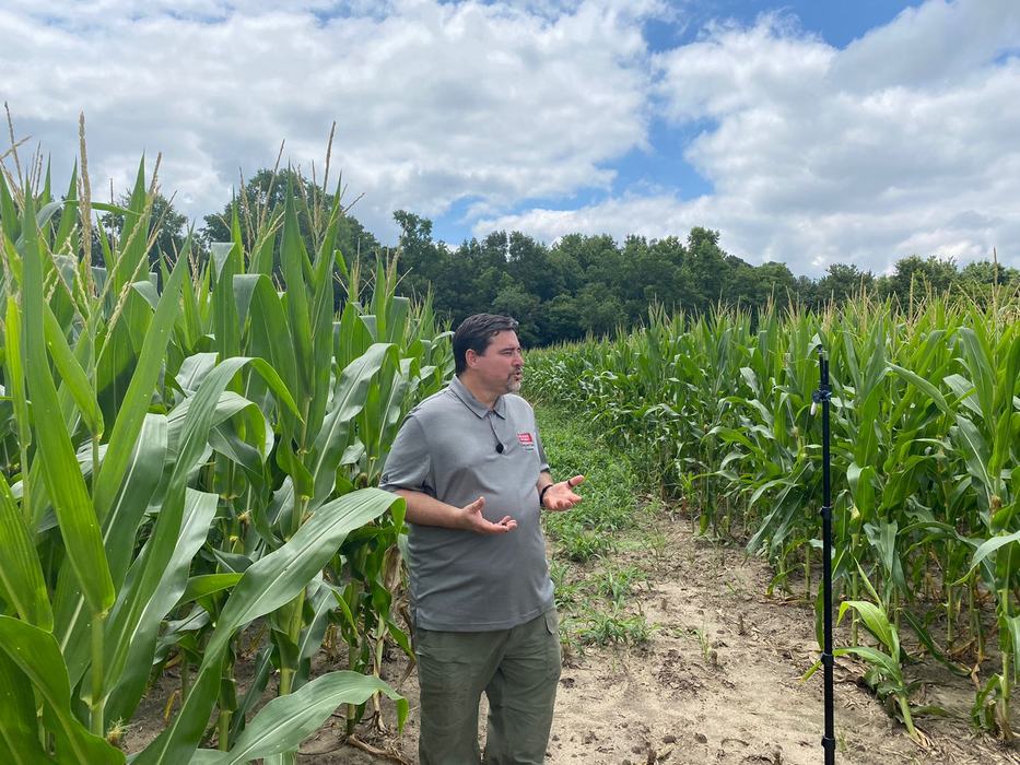 Starter P Fertilizers for Corn in North Carolina - Soil Fertility | NC ...