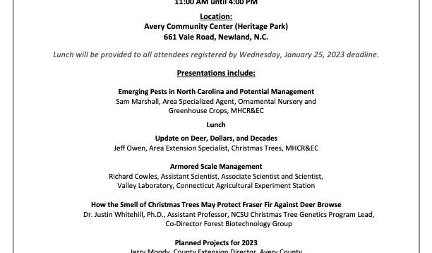 Avery/Mitchell Annual Christmas Tree and Ornamental Workshop - Mitchell ...