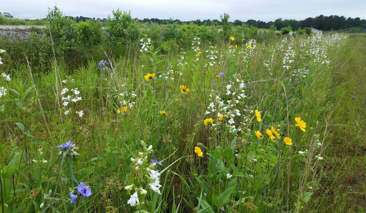 NRCS Program Opportunities Workshop - February 27, 2023 - Watauga ...