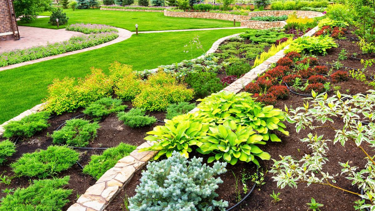 Fundamentals of Landscape Design - Currituck County Center | N.C ...