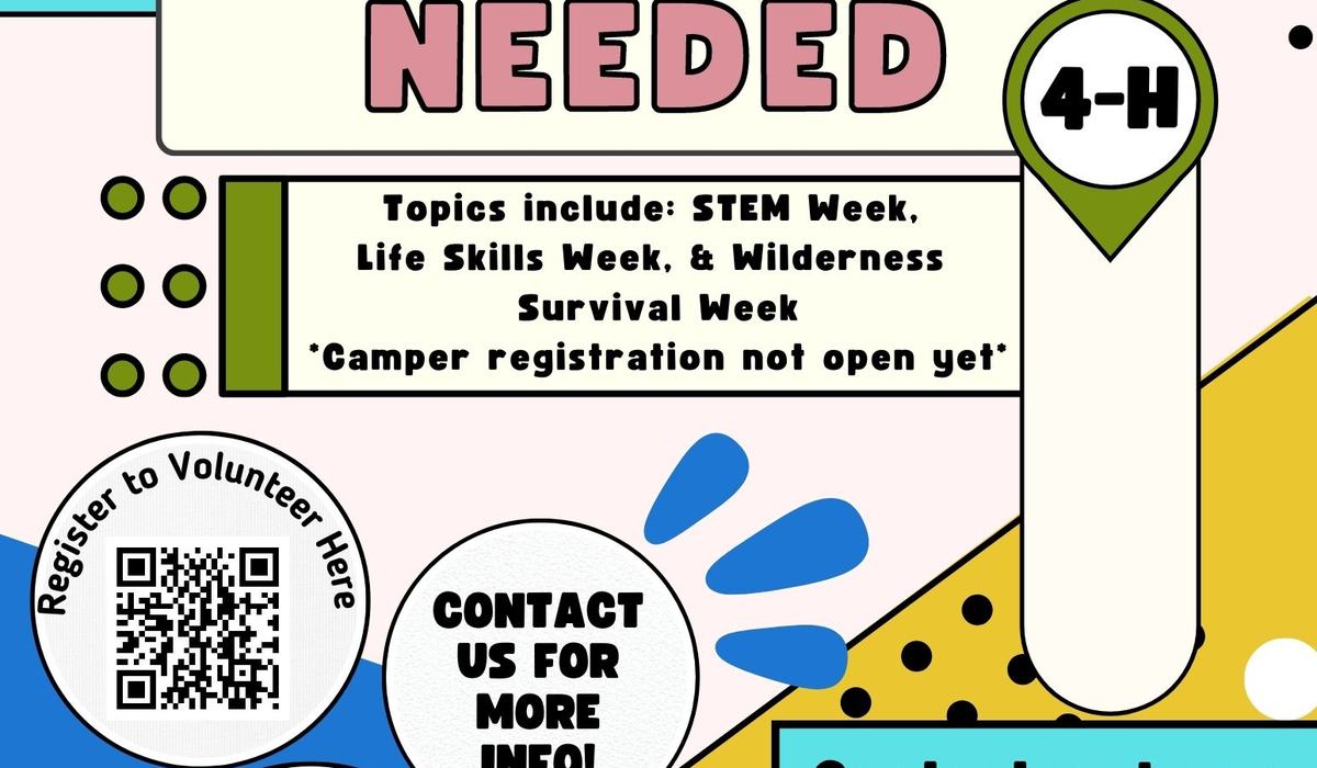 4-H Volunteers Needed - Summer Fun! - Brunswick County Center | N.C ...