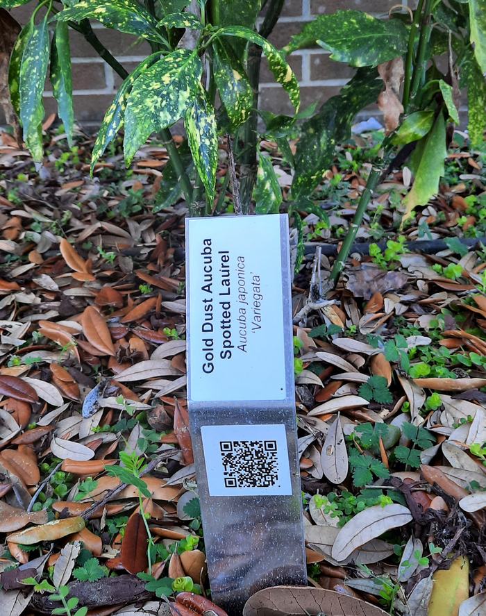 Plant Toolbox Continues to Grow With Help From Master Gardener ...