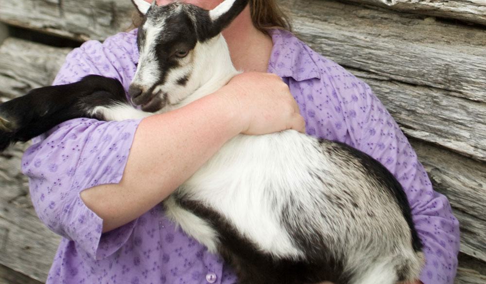 Connecting Farms to Forks: A Conversation With Debbie Roos - Local Food ...