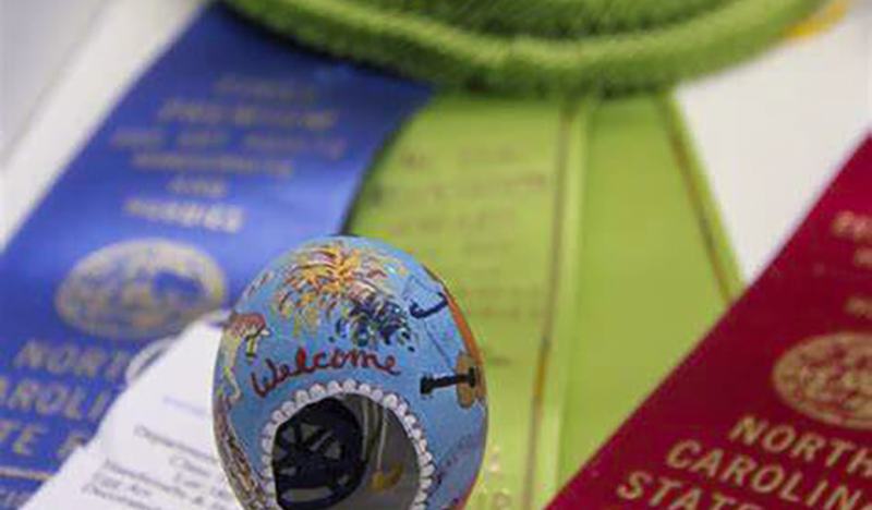 Egg Art Competition at the NC State Fair - Poultry 4-H & Youth | NC ...
