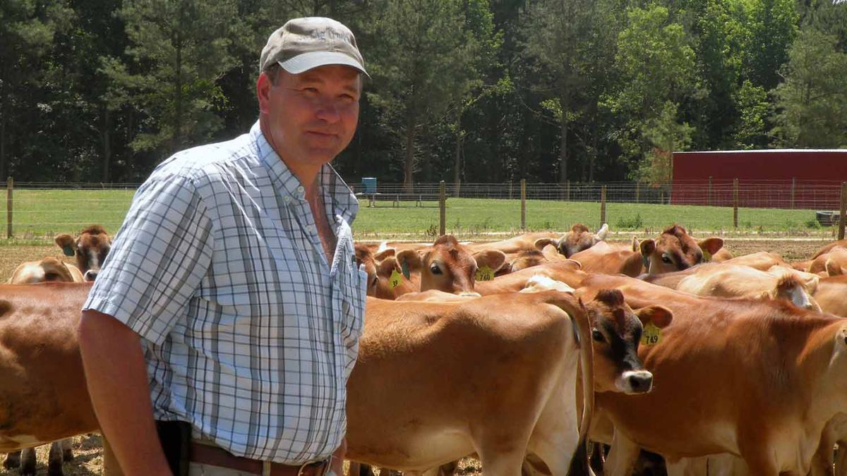 NC State Extension Helps a Farmer Launch a Successful Dairy - NC State ...