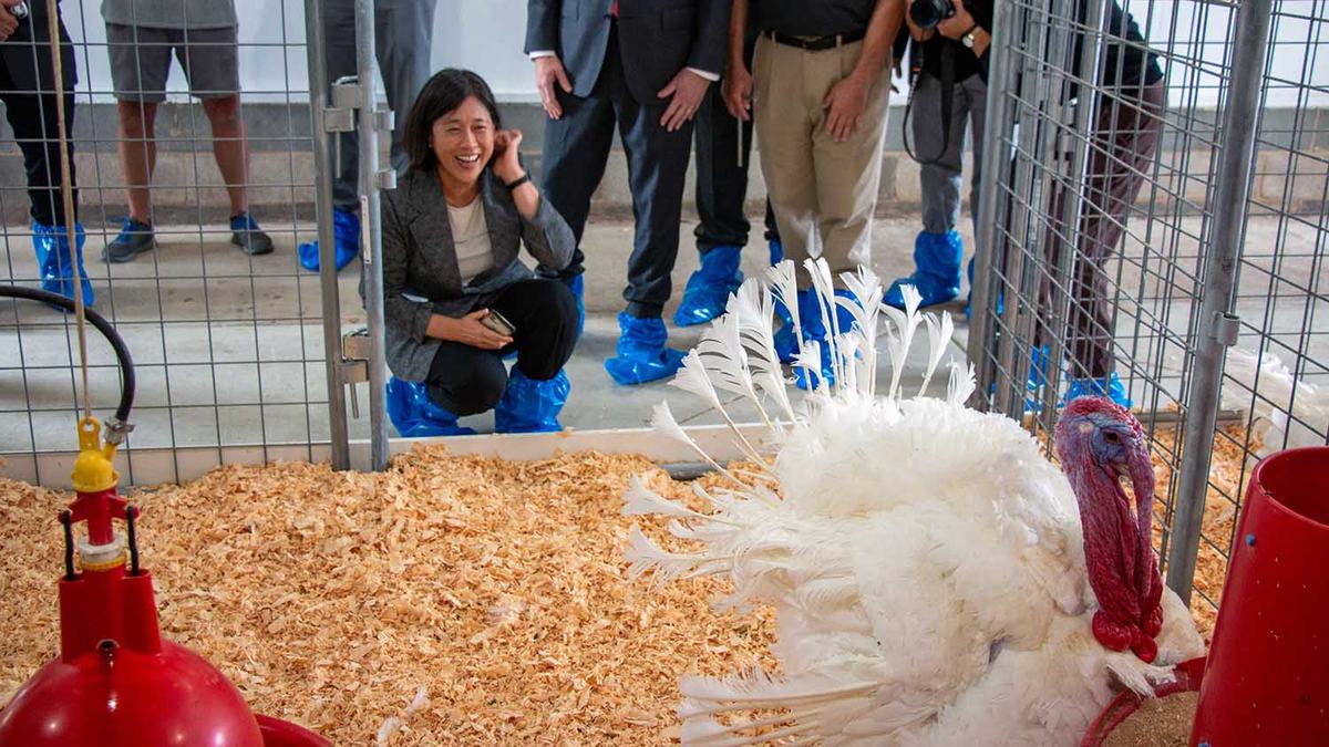 New Opportunities for North Carolina's Turkey Producers | NC State ...