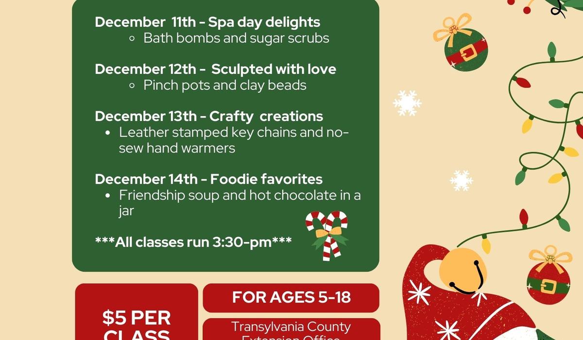 4-H Holiday Craft Series - Transylvania County Center | N.C ...
