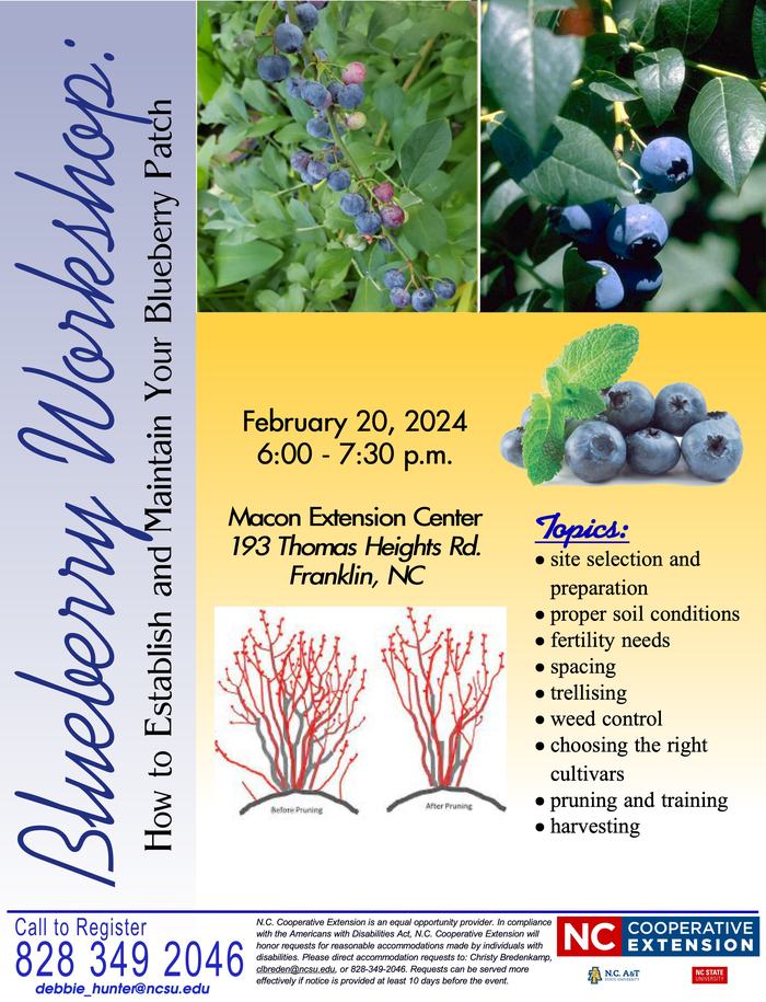 Starting and Managing Your Blueberry Patch - Macon County Center | N.C ...