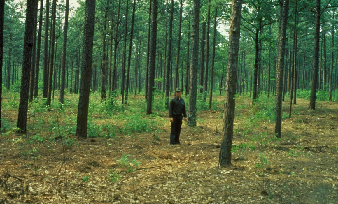 NC Forest Service Forest Health / Pesticide Workshop - January 11, 2024 ...