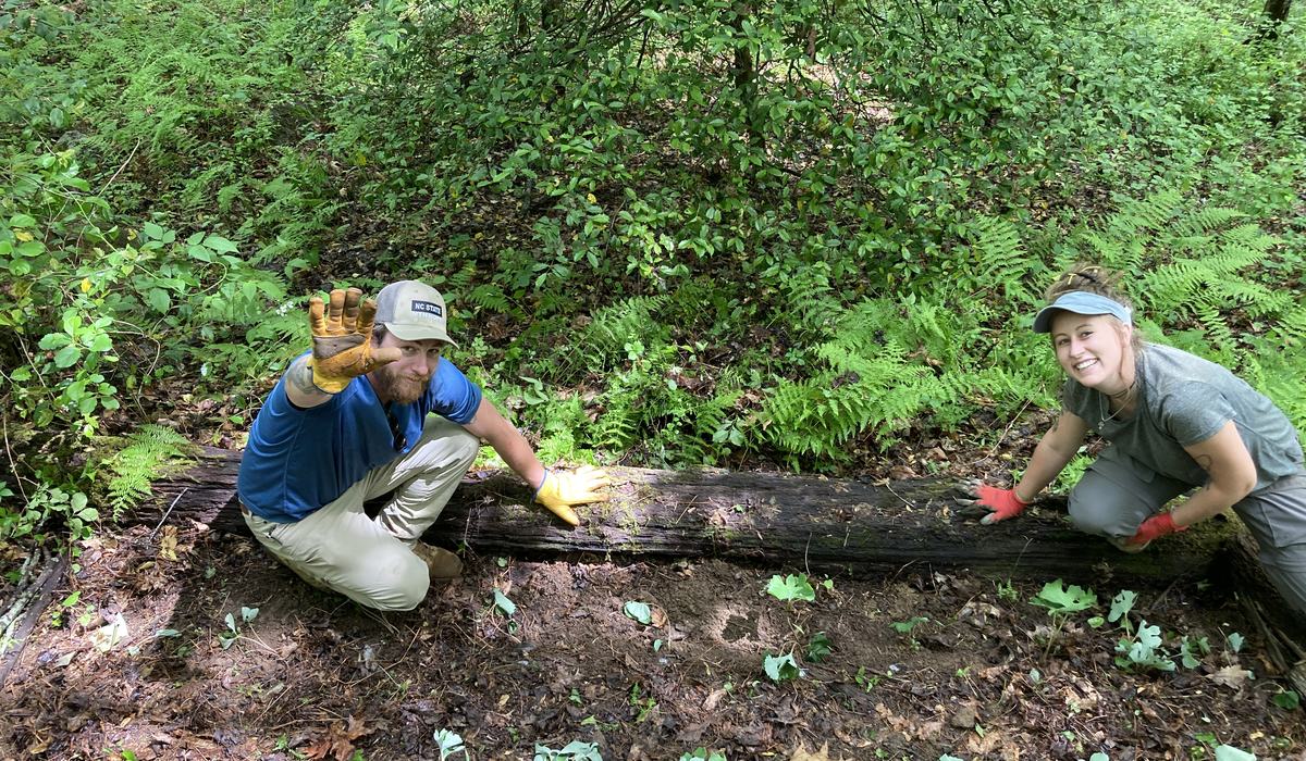 We Are Hiring! NC Alternative Crops & Organics Program - New Crops ...