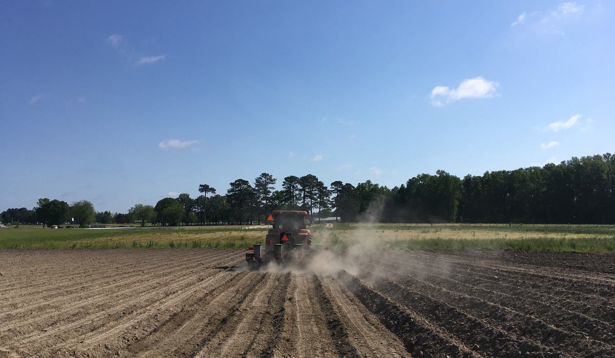 Data-Driven Updates on Soybean Seeding Rates in North Carolina ...
