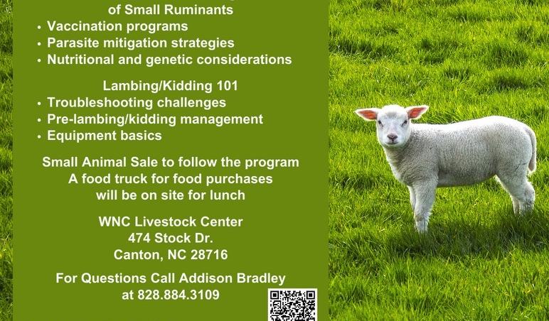 Western North Carolina Small Ruminant Workshop - Goats and Sheep | NC ...