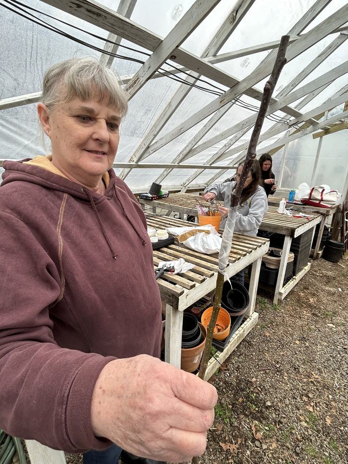 Apple Grafting Class Held for the Macon Master Gardeners - Macon County ...