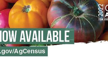 2022 USDA Ag Census County Profiles Now Available - NC FarmLink | NC ...