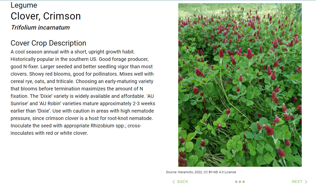 Green Bridge - Cover Crops | NC State Extension