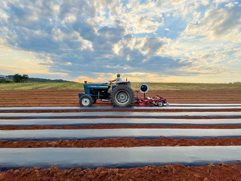 Wilkes County Local Farm Spotlight: New Castle Farm - Wilkes County ...