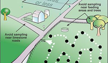 From the Vine: Why Soil Sampling Is Essential for Gardens, Lawns, and ...