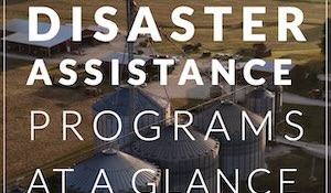 USDA Disaster Assistance Programs - NC Disaster Information Center | NC ...