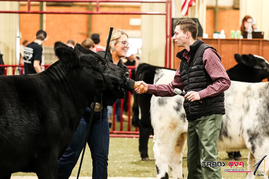 East Coast Extravaganza - Youth Livestock Program | NC State Extension