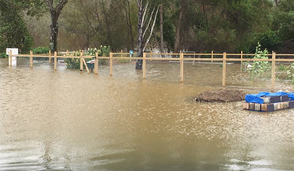 Soil Contamination Concerns Post Flooding - Henderson County Center | N ...