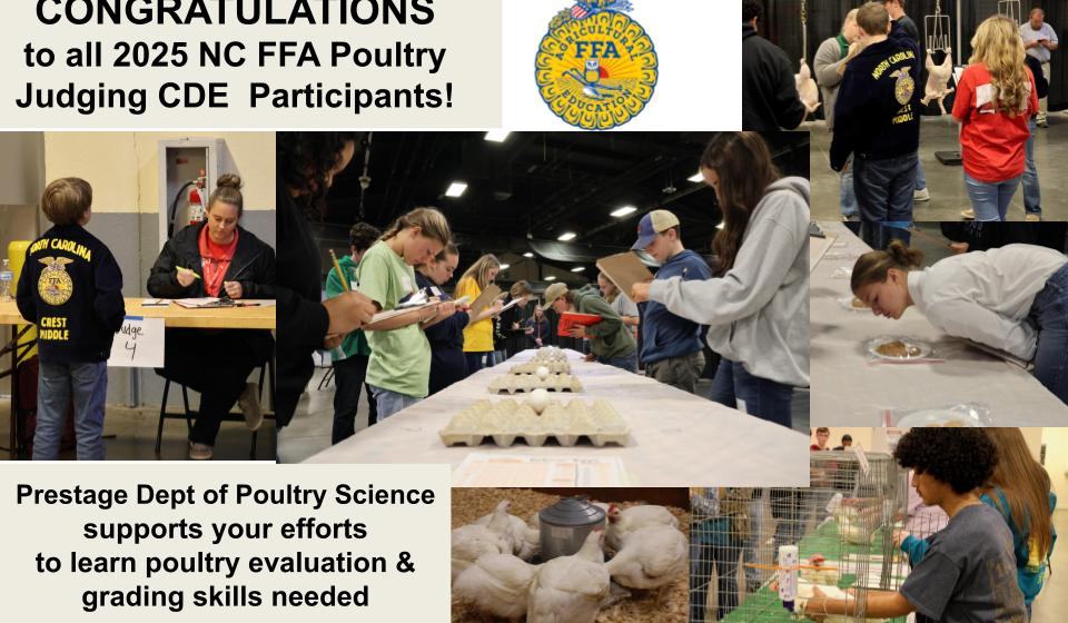 Congrats NC FFA Poultry Judgers! - Poultry 4-H & Youth | NC State Extension