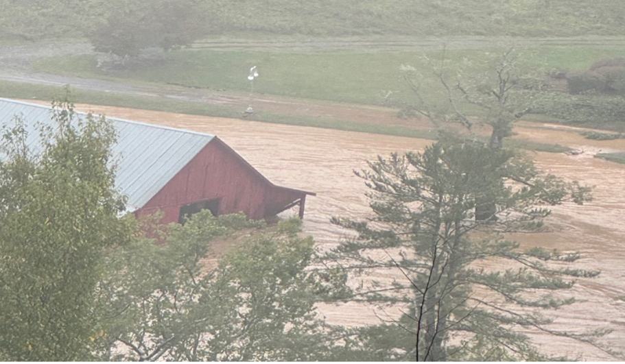 Hardware Disease Risk in Cattle, Sheep, and Goats Post Hurricane Helene ...