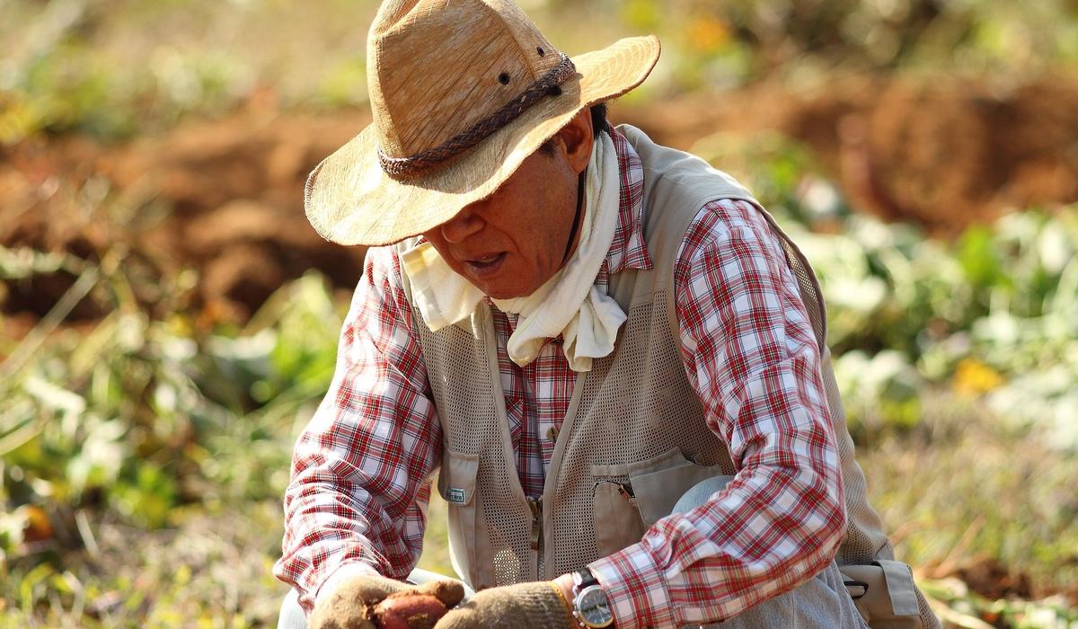 Spanish CPR and Safety Training for Farmworkers - Franklin County ...