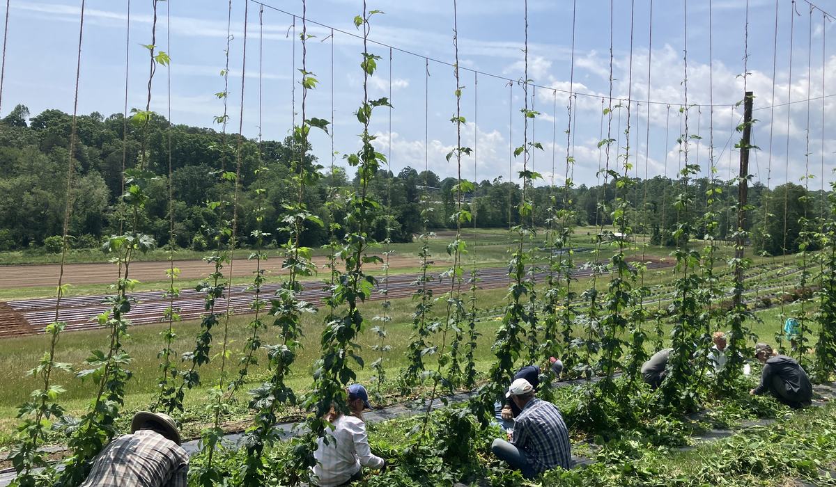 Check Out These Hands-on Learning Opportunities in North Carolina ...